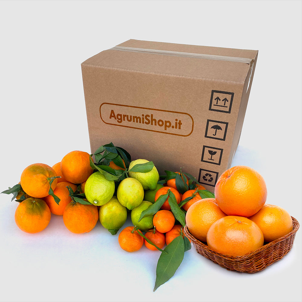 Box agrumi misti Arance, Clementine, Limoni e Pompelmi rosa – AgrumiShop.it